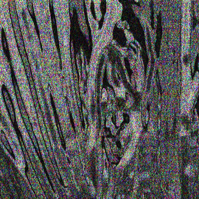 Channel 116 | Dead Television