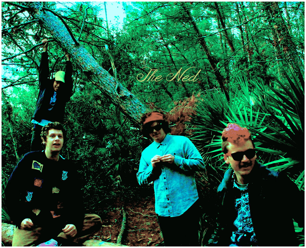 The Passionate Sounds of the Rainforest | The Ned