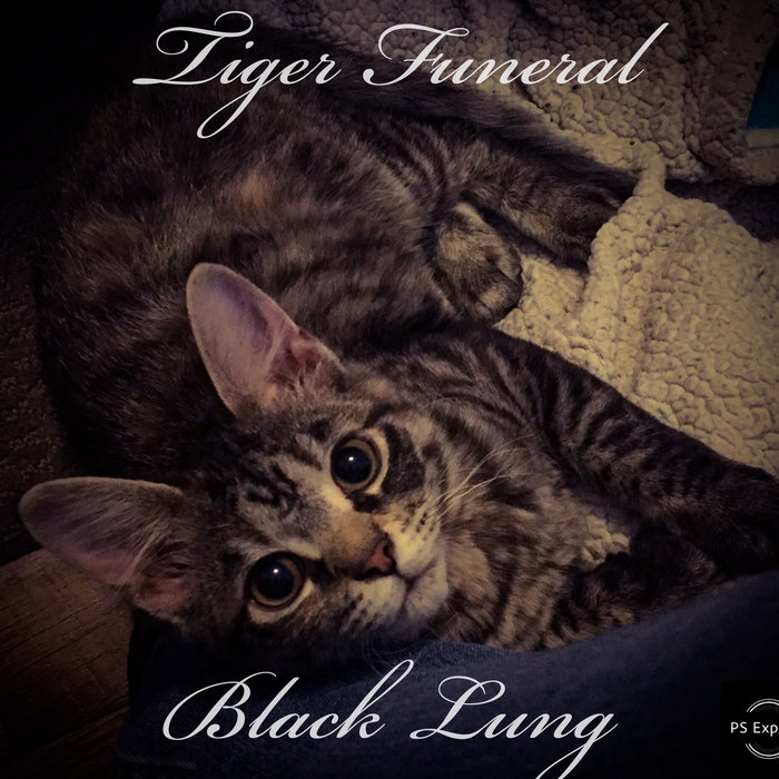 Black Lung | Tiger Funeral