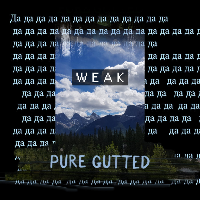 WEAK | PURE GUTTED