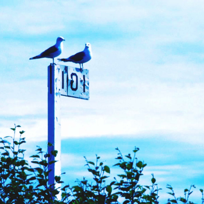 Modular Birds | Qualo Infinity