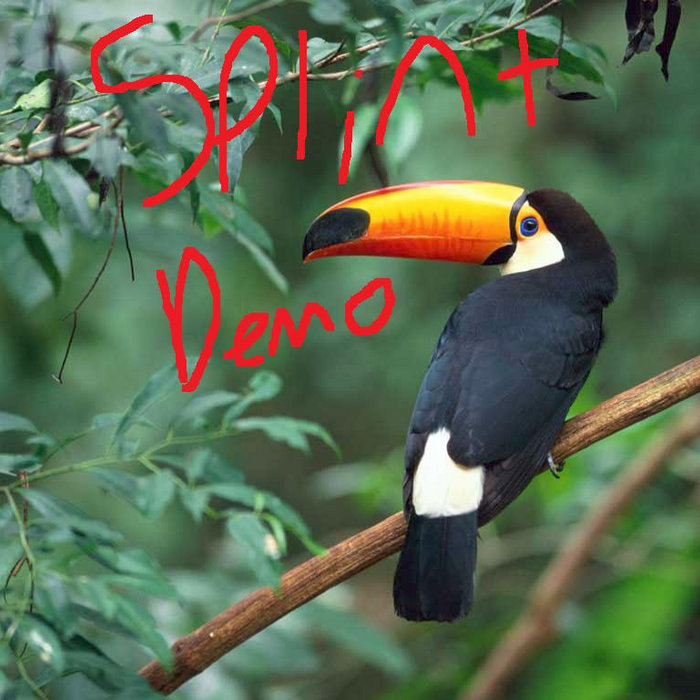 Splint Demo | Splint