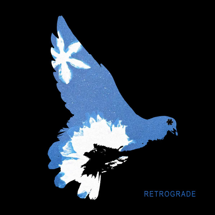 RETROGRADE | Babebee