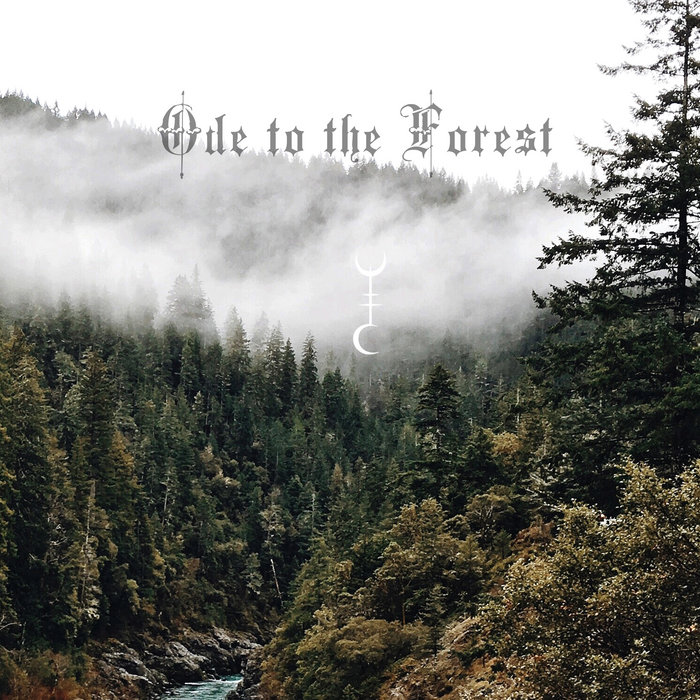 Ode to the Forest | Conjure the Circle | Conjvre the Circle