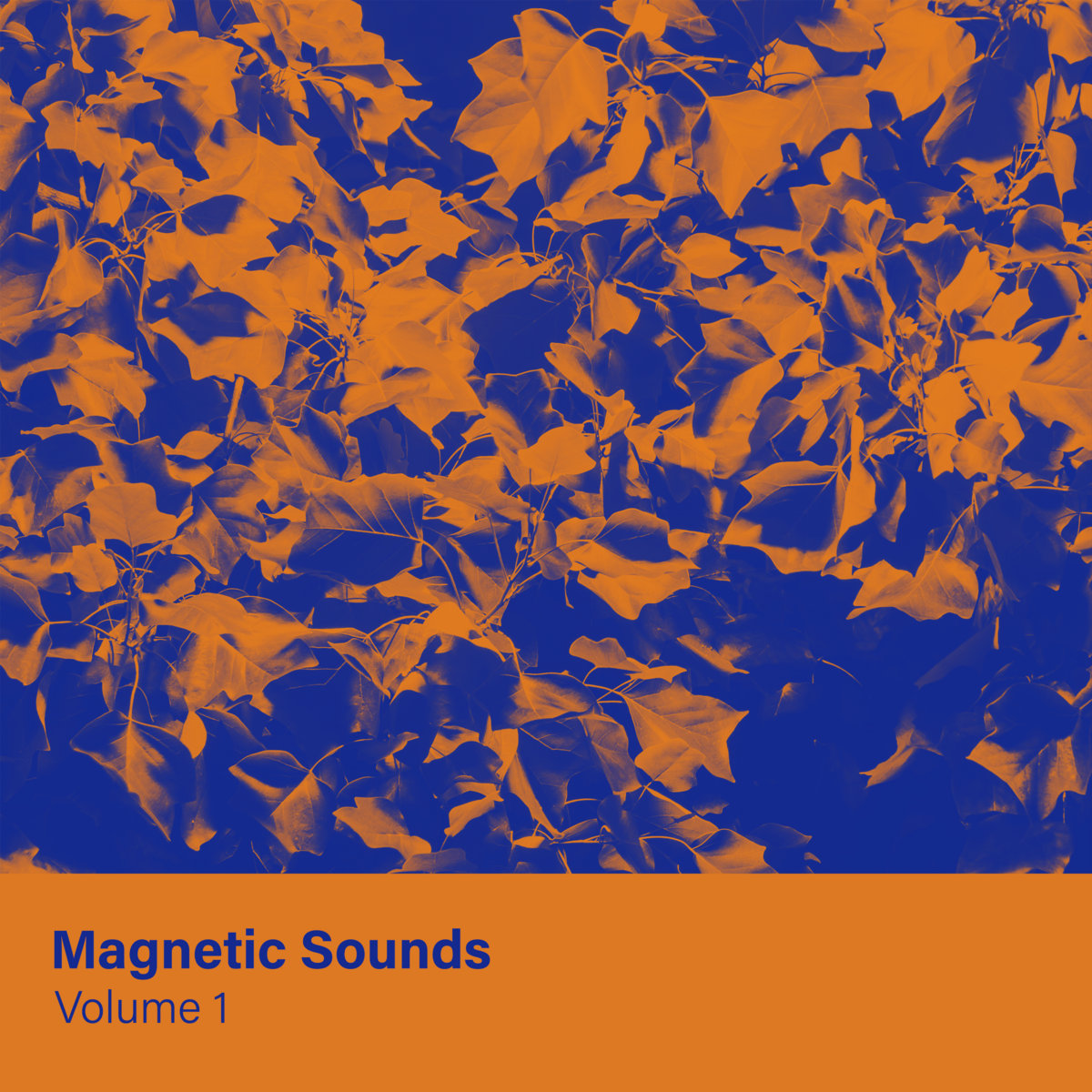Magnetic Sounds: Volume 1 | DJ Enker