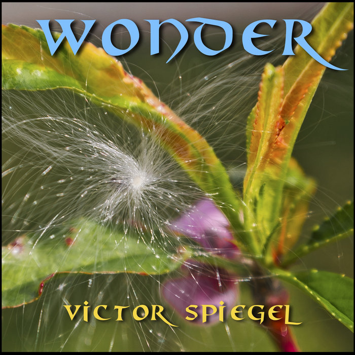 Wonder | Victor Spiegel