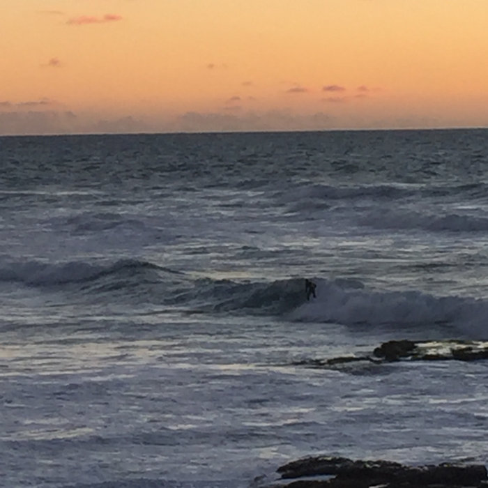 Creature | Joe Santa Maria | Joseph Santa Maria