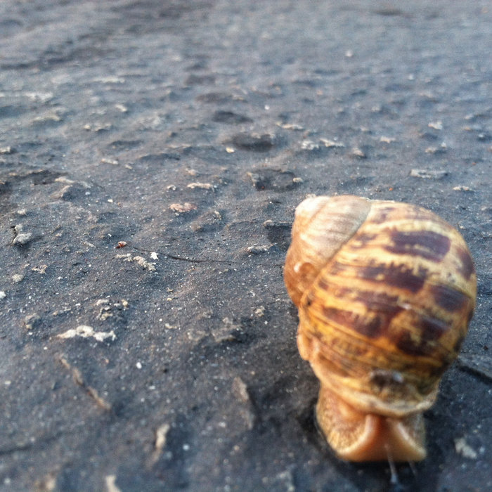 The Mission | shallow cuts band