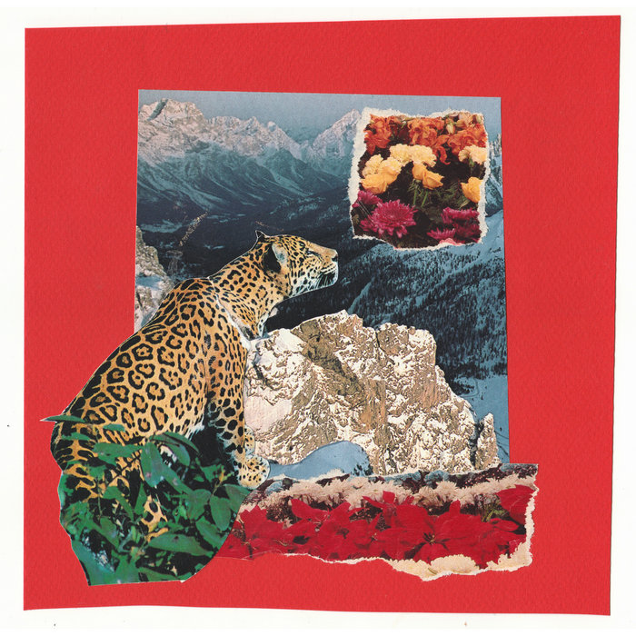 In Colour | Neo Blue