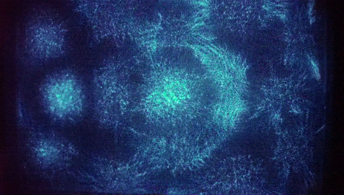 Bruit cosmique / Cosmic noise | Seanotes / Pauline Hegaret