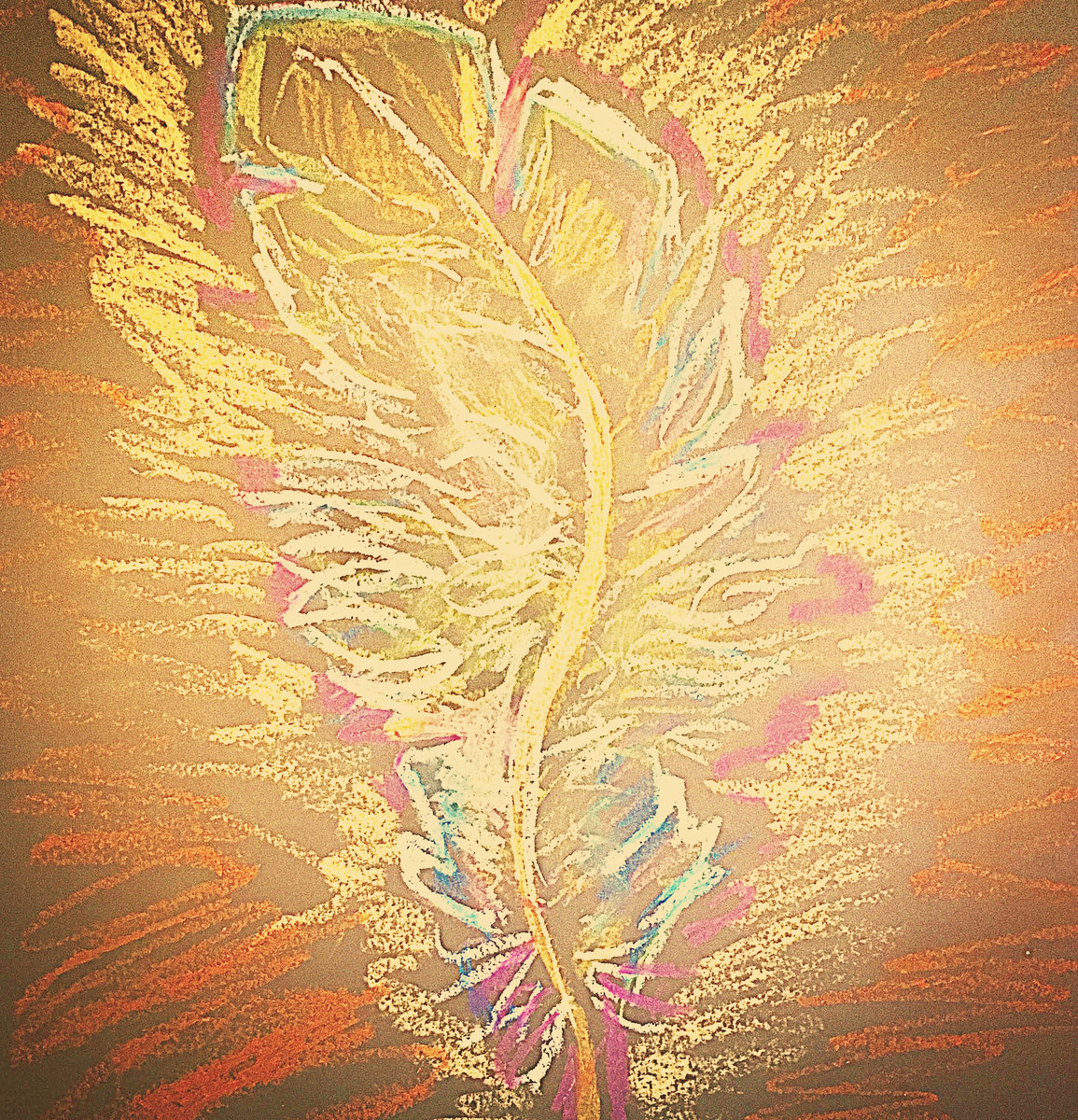 Softer | Haphazard Songs by a Haphazard Person