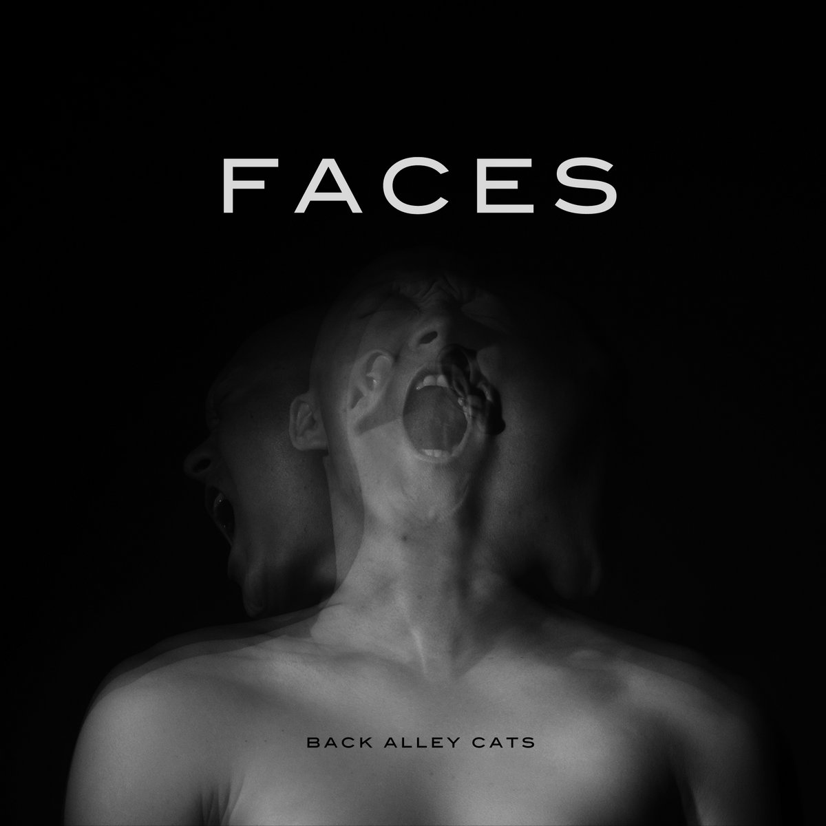 Faces | Back Alley Cats