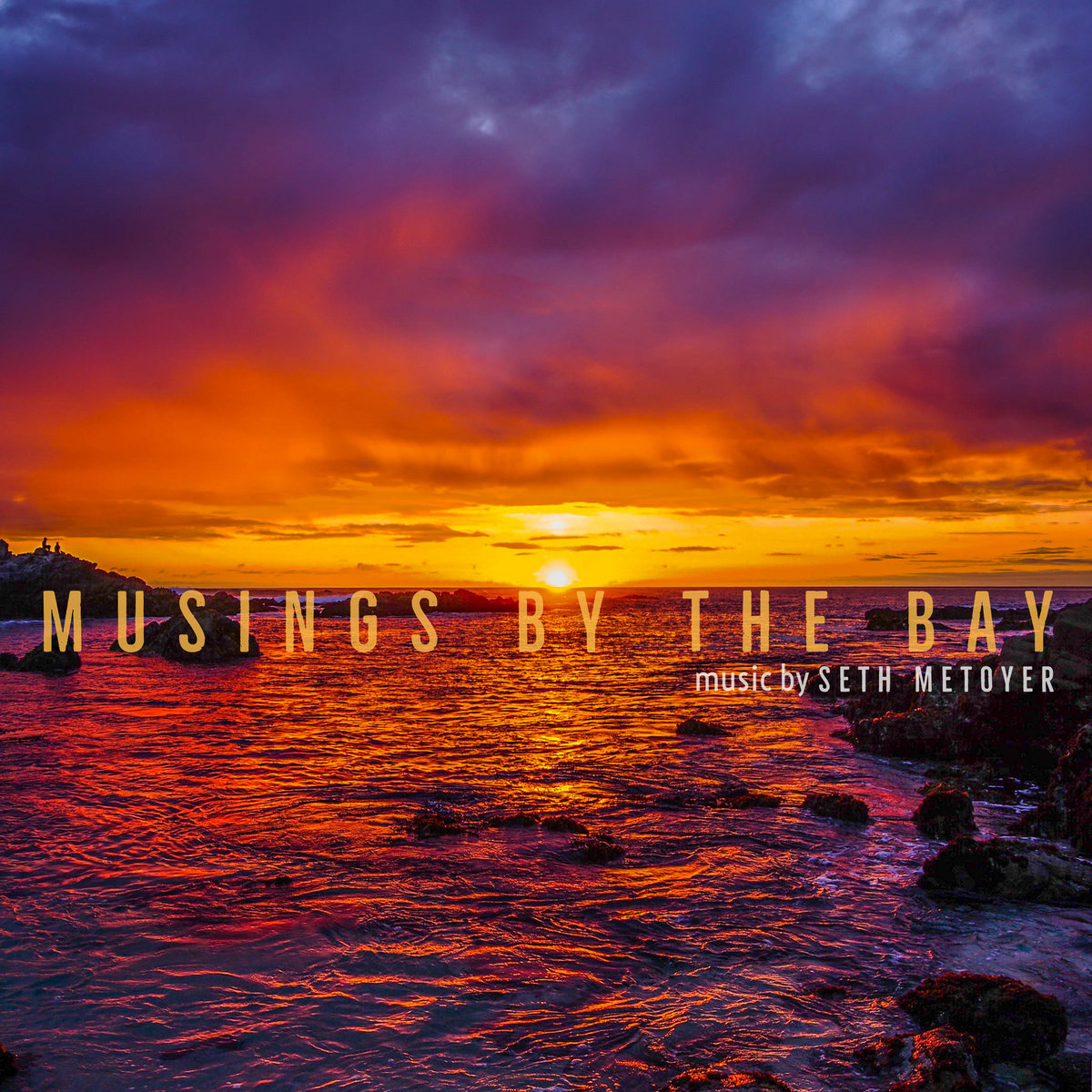 Musings by the Bay | Seth Metoyer