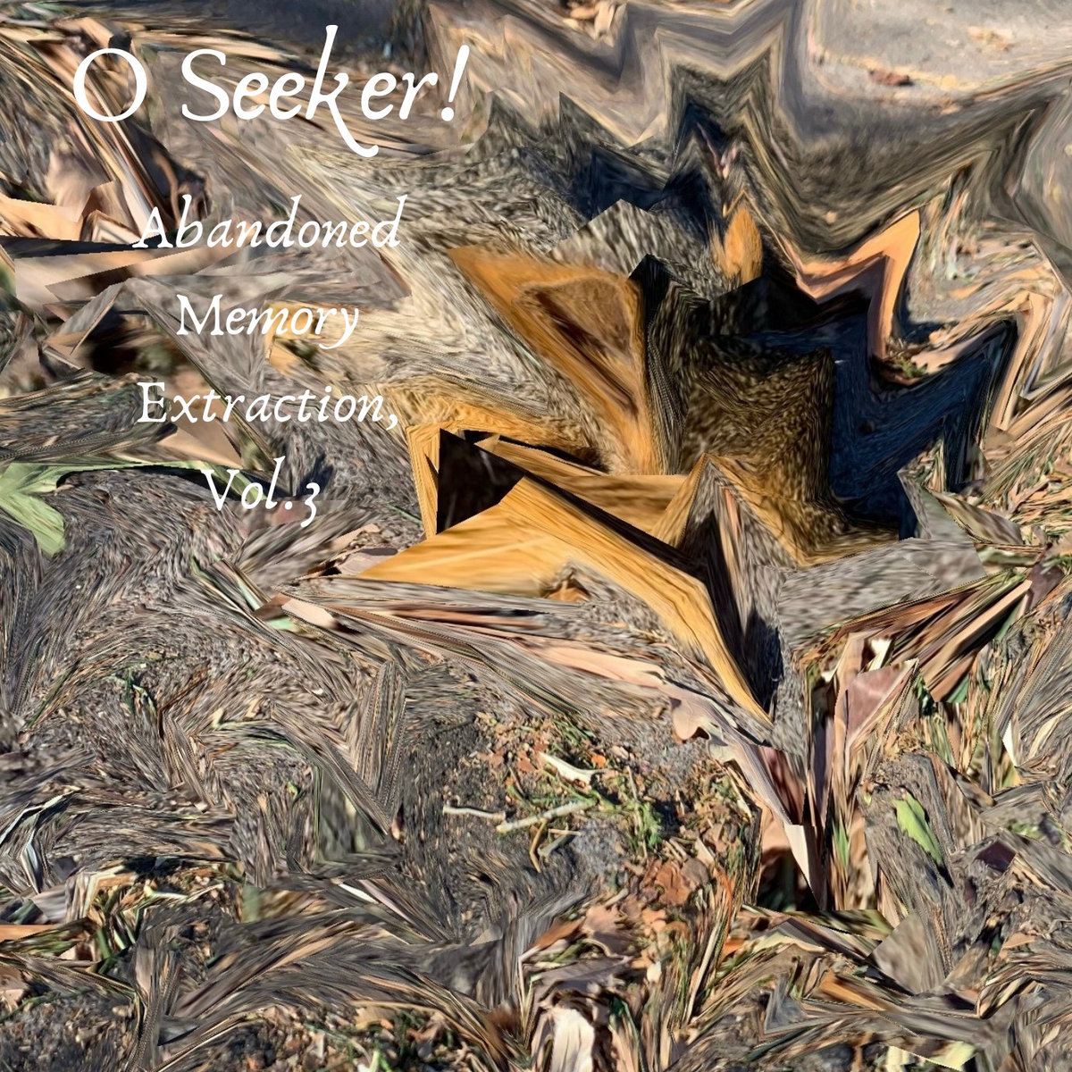 Abandoned Memory Extraction, Vol. 3 | O Seeker!