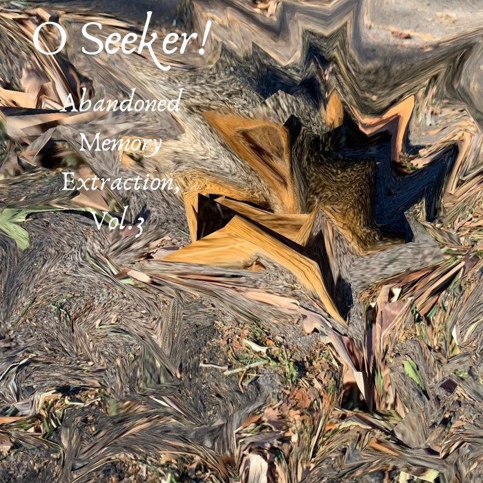Abandoned Memory Extraction, Vol. 3 | O Seeker!