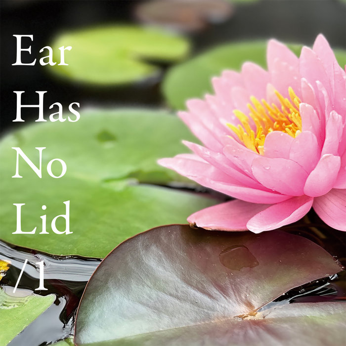 Ear Has No Lid /1 | ear has no lid