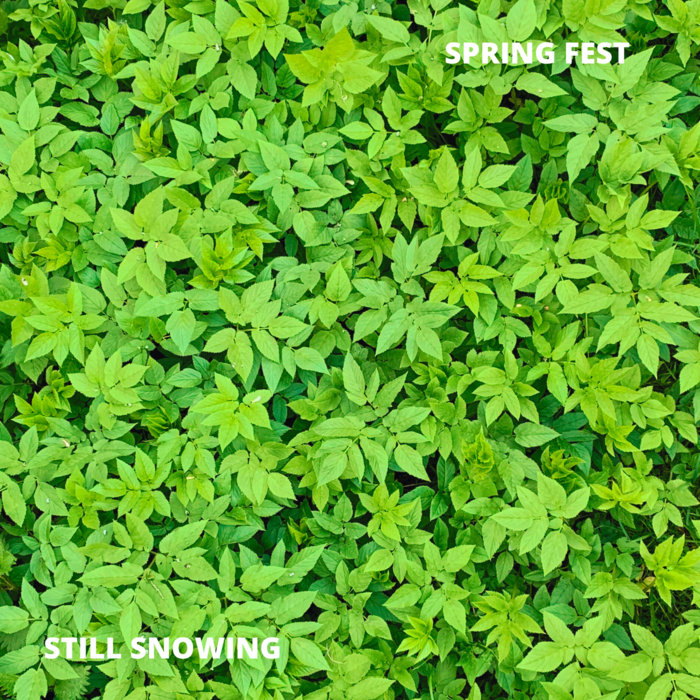 Spring Fest | STILL SNOWING | Silent Killer Records