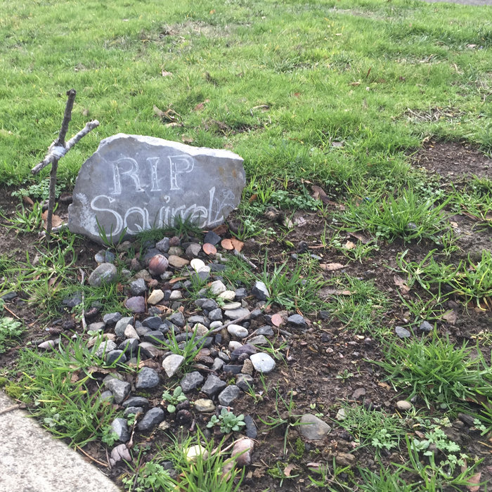 RIP Squirrel | Big Sword