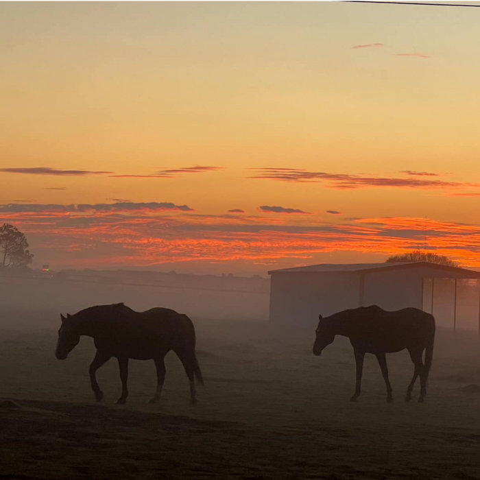 Demos for Lonely Cowboys to Travel To | The Angry Meantime | Restless ...