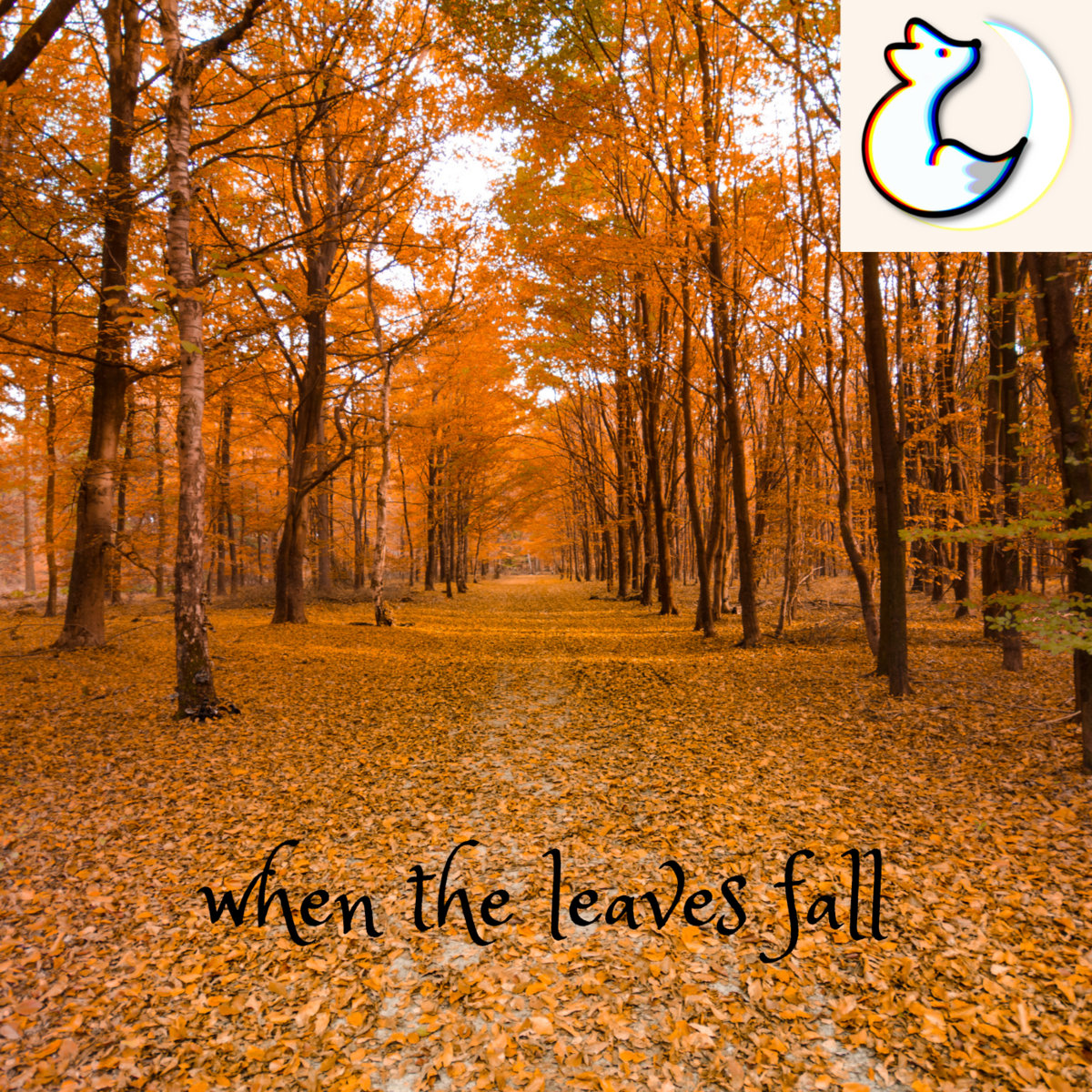 when the leaves fall | Orange night