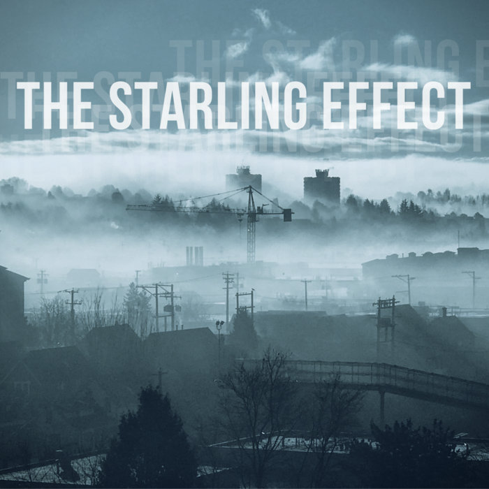 The Starling Effect | The Starling Effect