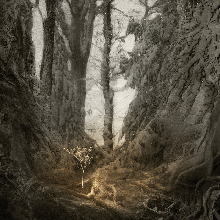 Sunless Altar/Vmthanaachth Split | Sunless Altar
