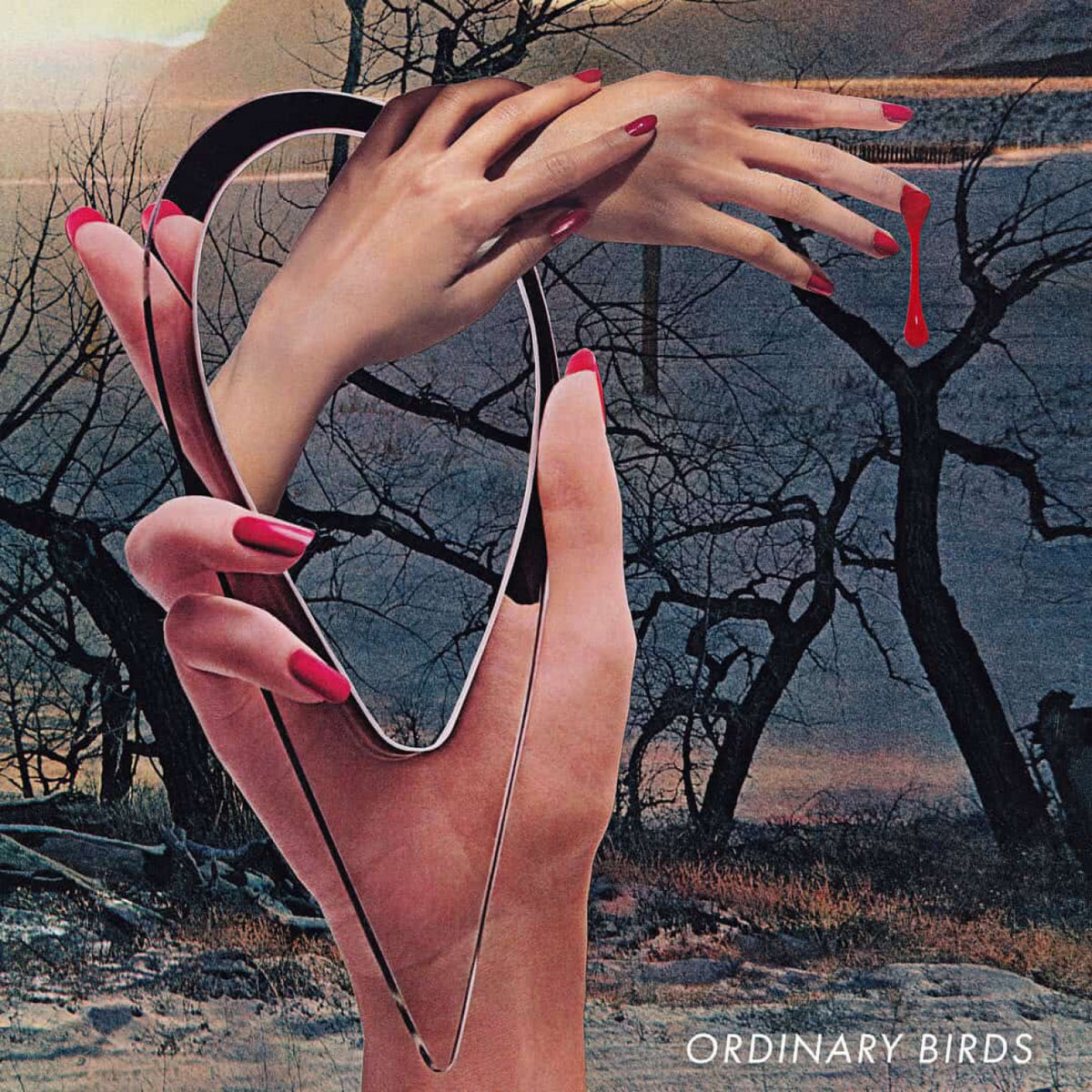 Ordinary Birds | Ordinary Birds