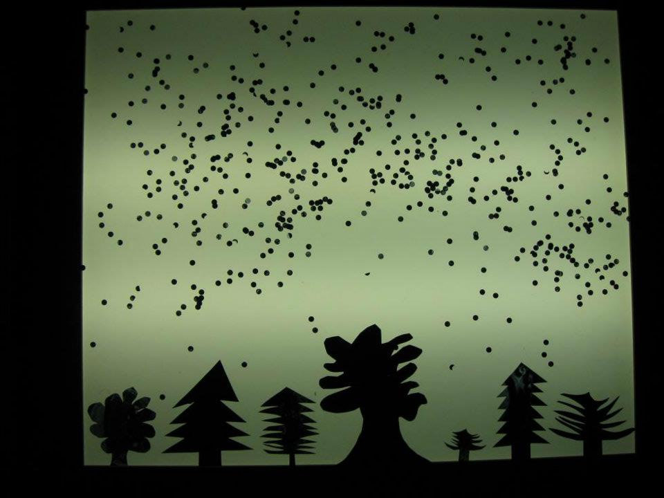 Lightered Pine | The New Gallery Band of York