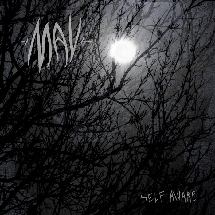 Self Aware | Matt Vargo