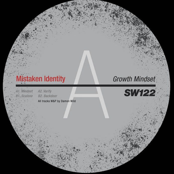 Mistaken Identity Artwork