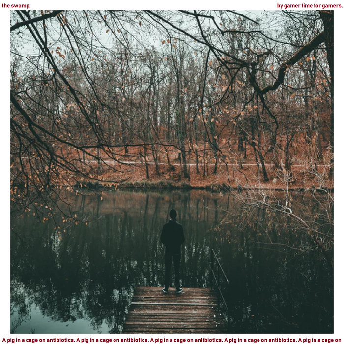 The Swamp | Gamer Time For Gamers