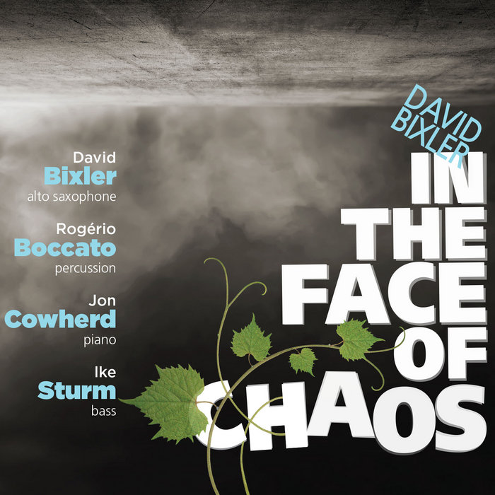In the Face of Chaos | David Bixler