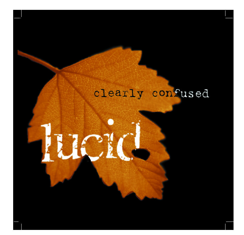 Clearly Confused | Lucid | Fierce Rabbit Records
