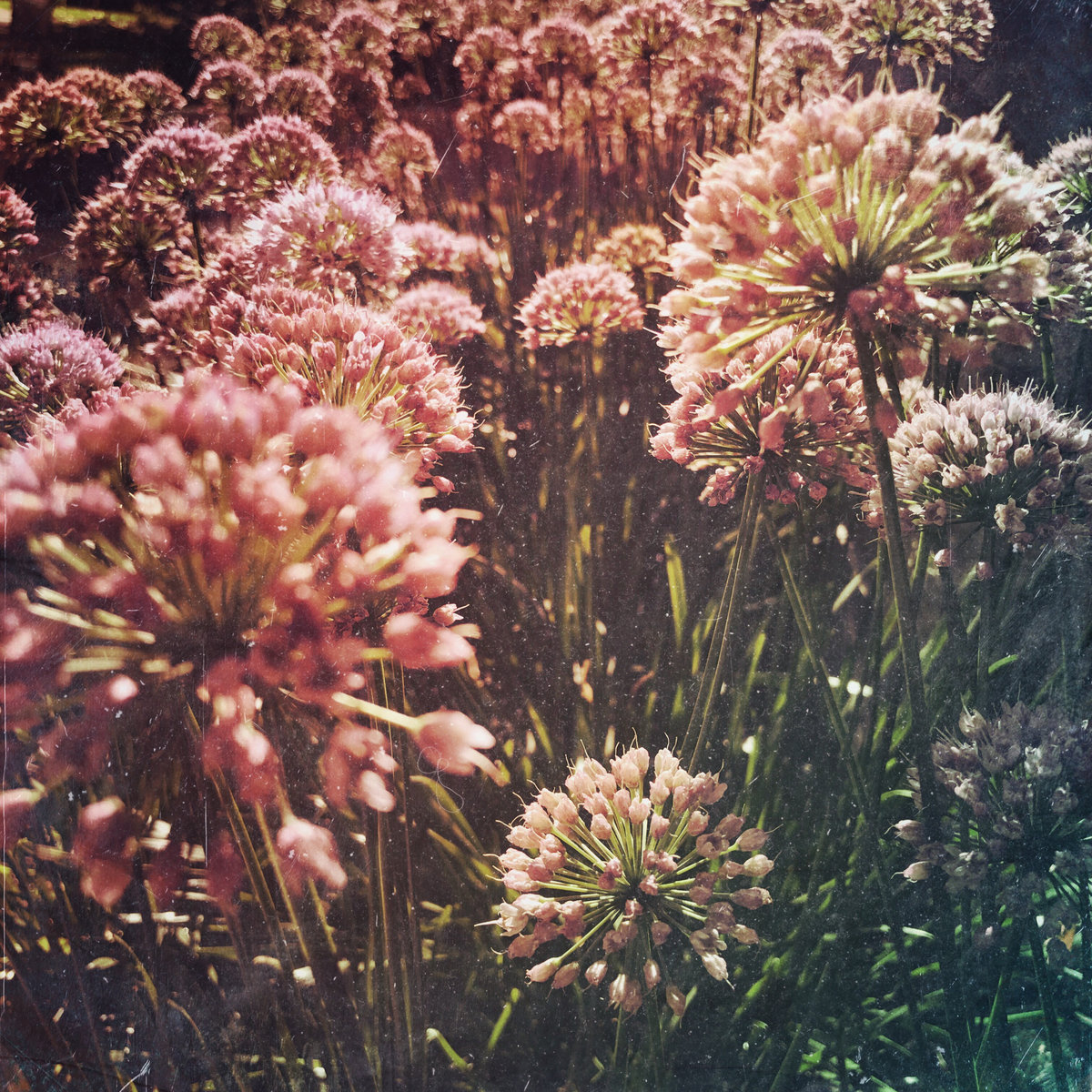 love.like.waves.collapsing - Demo 2 | Jon Ferris music