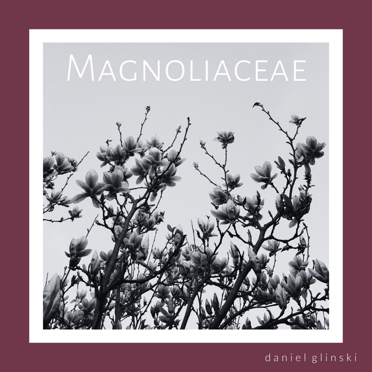 Human tree care | Dama Dama