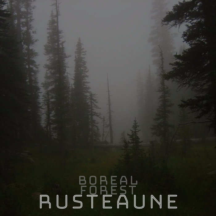 Boreal Forest | Rusteaune