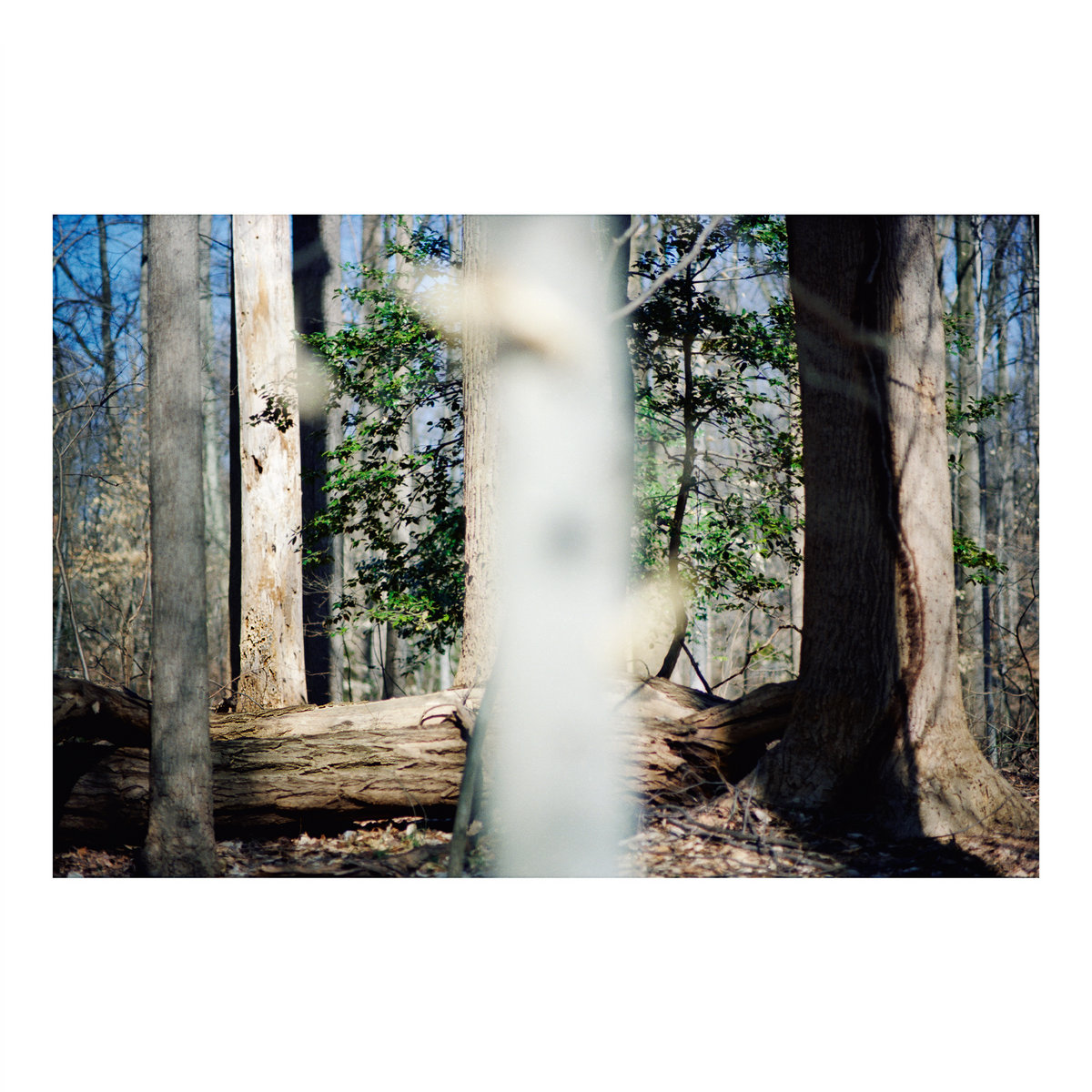 Seven Reorganisations | Beatrice Dillon | hi-music