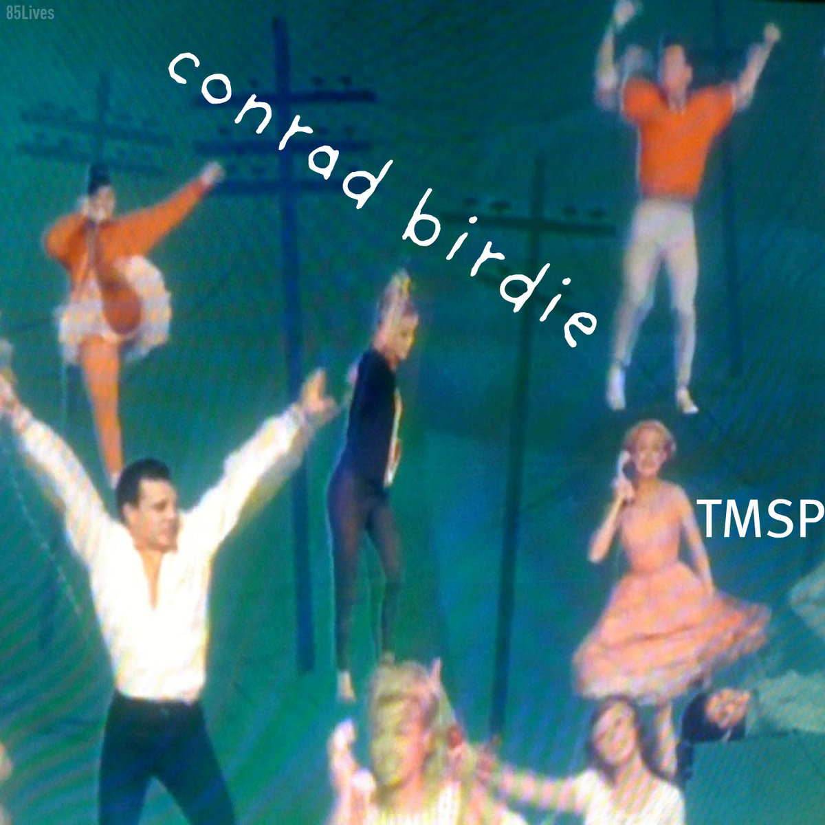 TMSP | conrad birdie | smallgroup