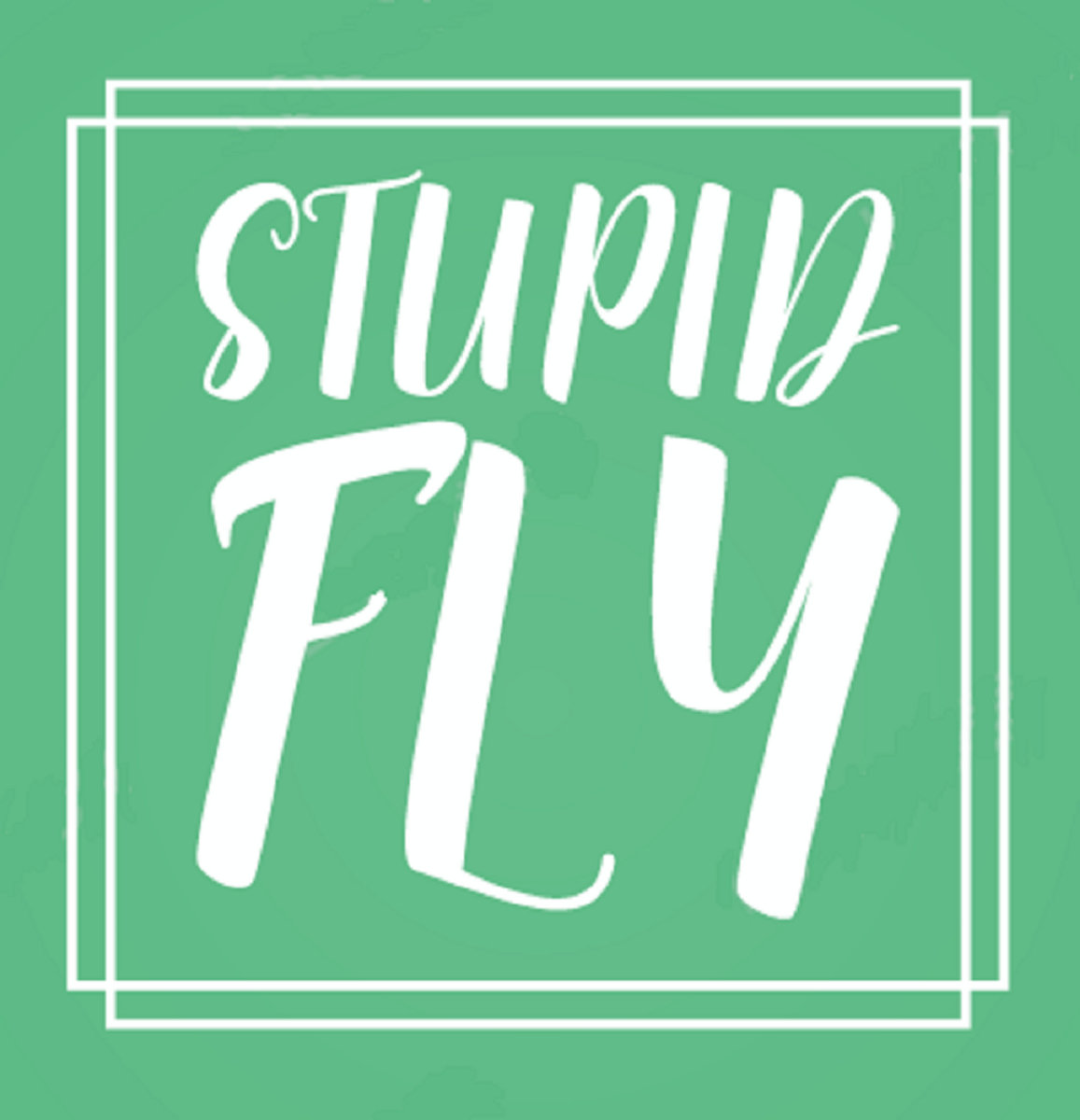 Stupid Fly | Crystal Bob