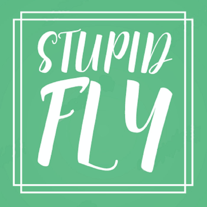 Stupid Fly | Crystal Bob