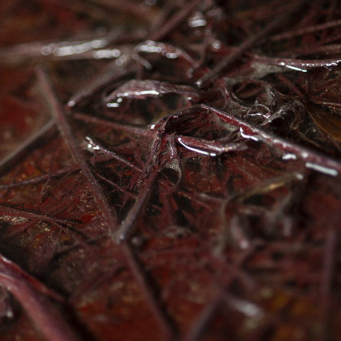 dual vector foil for cleansing | a.c. lyon | Xexify Records and Sealion ...