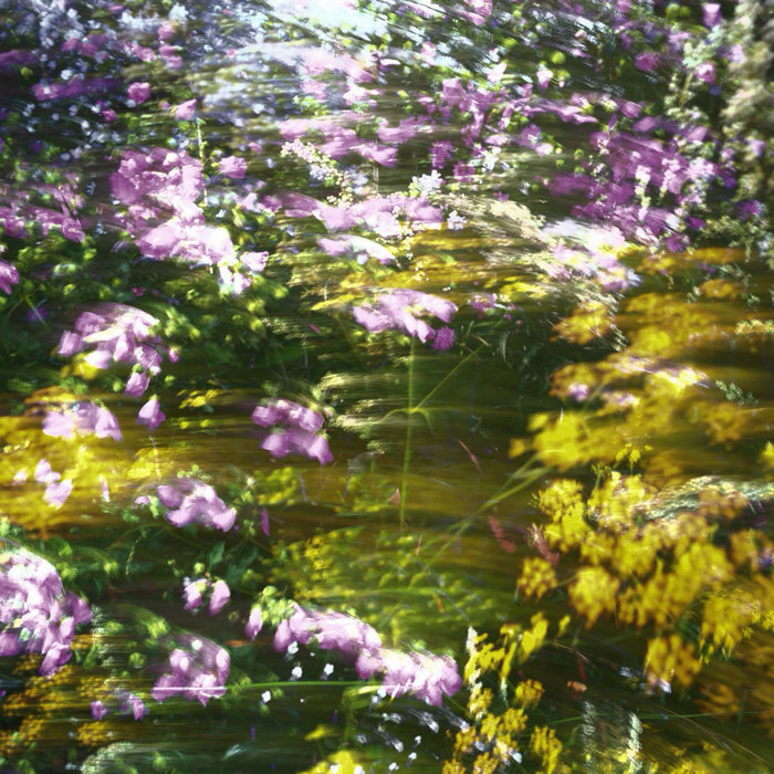 Yuragi | Masafumi Teruyama