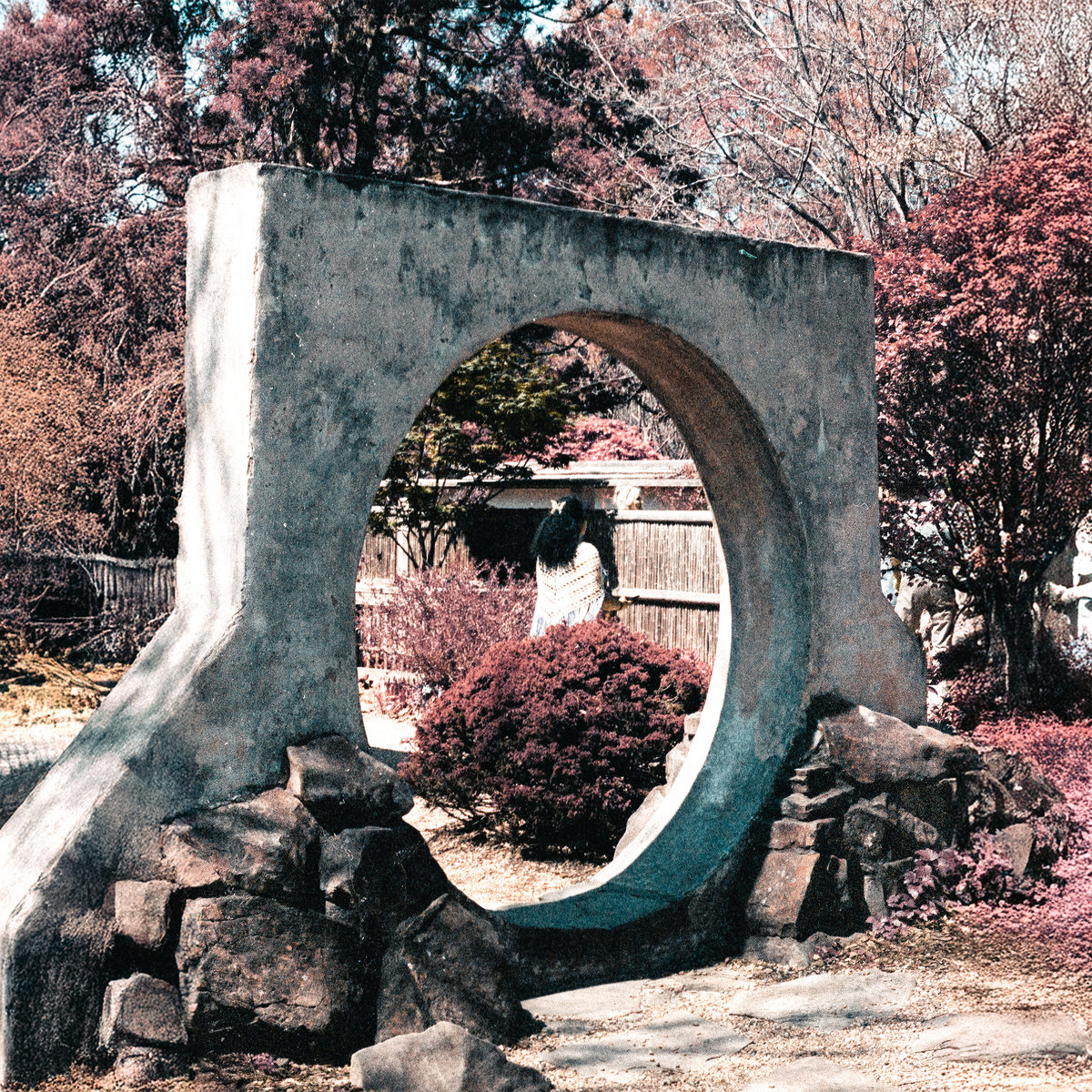 The Wind Kept Land | David Tagg