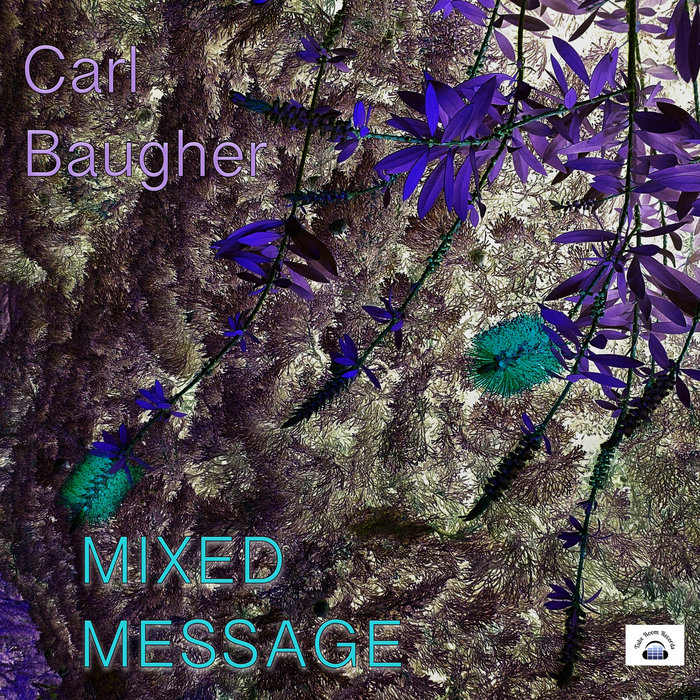 Mixed Message | Carl Baugher