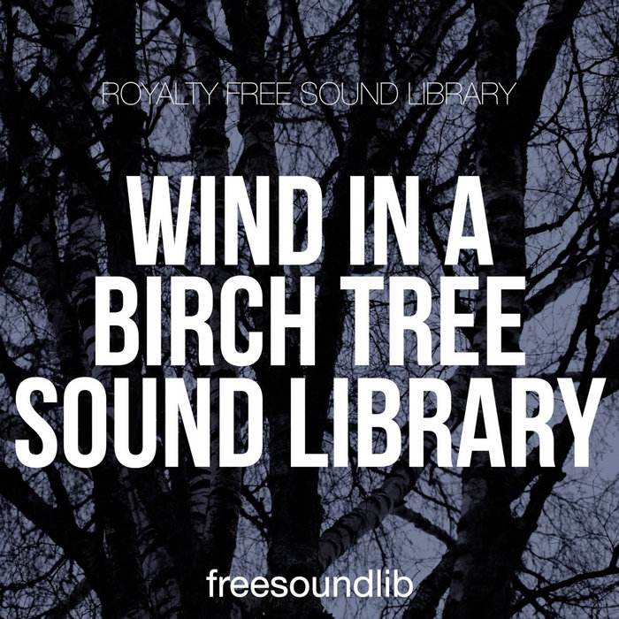 Wind Sounds In A Birch Tree | Wind Sounds | freesoundlib