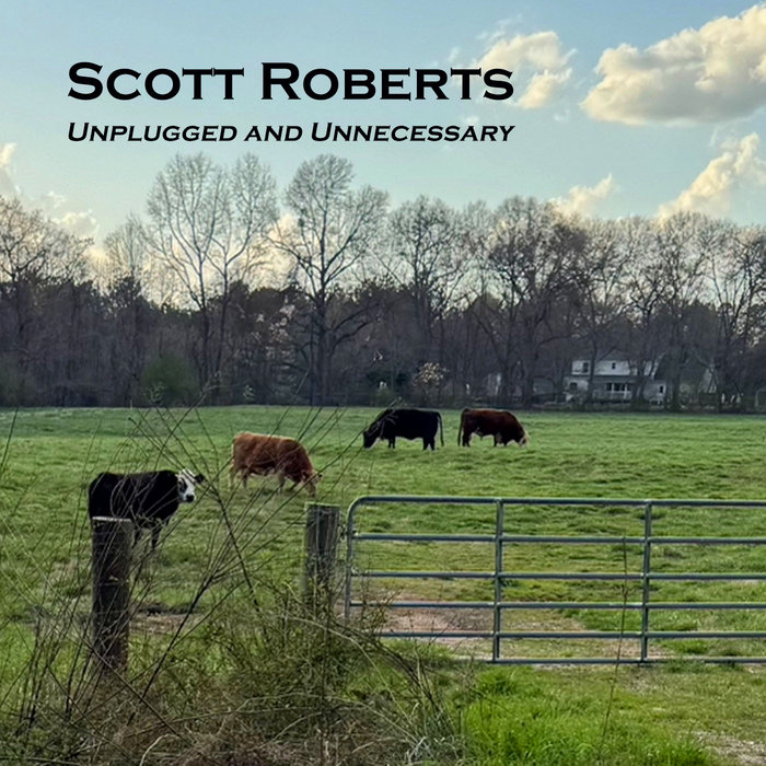 Unplugged and Unnecessary | Scott Roberts