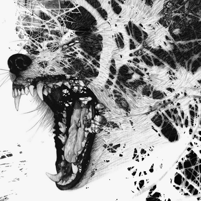 Three Nights | Chris Redlich