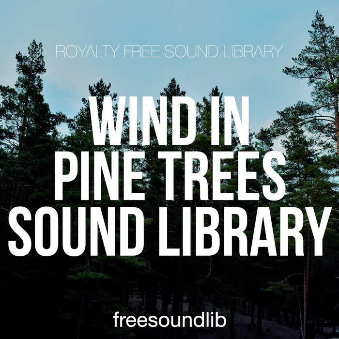 Wind In Pine Trees | Wind & Forest Sounds | freesoundlib