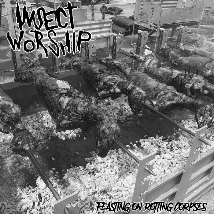 Feasting on Rotting Corpses | Insect Worship