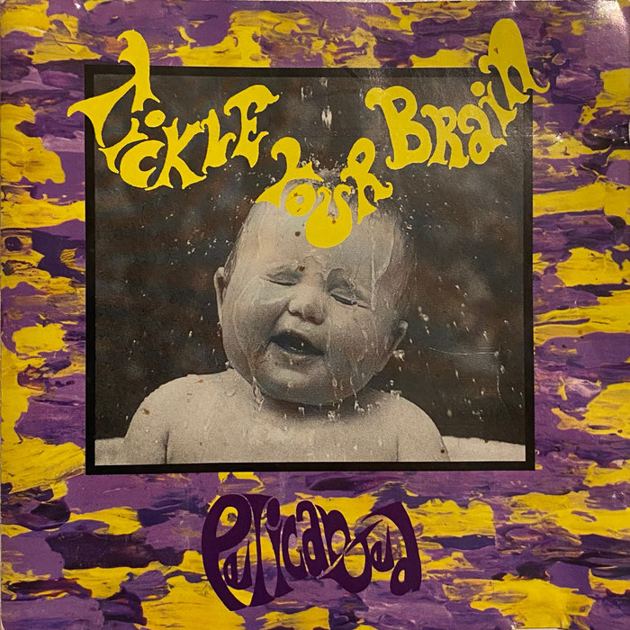 Tickle Your Brain | Pelican Jed